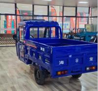 China Truck Three Wheel Electric Car Cargo Electric Utility Trike Electric Charging for sale
