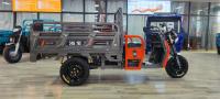 China Truck E Cargo Trike Electric Delivery Trike 800W Transportation for sale