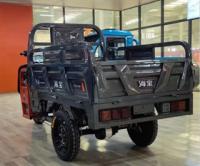 China Truck E Cargo Trike Electric Delivery Trike 800W Transportation for sale