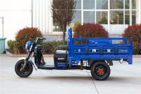 China Blue Utility Electric Tricycle Truck Cargo E Trike Truck 1000W for sale