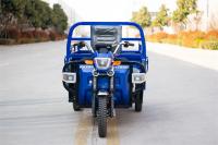 China Blue Utility Electric Tricycle Truck Cargo E Trike Truck 1000W for sale