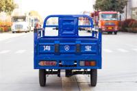 China Blue Utility Electric Tricycle Truck Cargo E Trike Truck 1000W for sale
