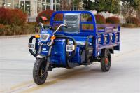 China Blue Utility Electric Tricycle Truck Cargo E Trike Truck 1000W for sale