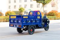 China Blue Utility Electric Tricycle Truck Cargo E Trike Truck 1000W for sale