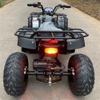 China Universal Off Road Electric Atv Transport All Terrain Off Road Vehicles for sale