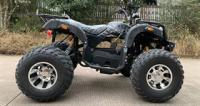 China 1500W Electric All Terrain Vehicles Passenger Atv All Terrain Vehicle for sale