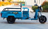 China 48V - 60V 500W Adult Small Electric Cargo Tricycle Scooter Family Use for sale
