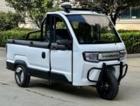 China Wei Ka 300 Three Wheeled Electric Pickup Trucks Can Carry One Ton for sale