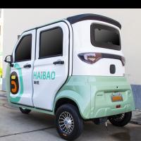 China Qilin Pro 800W Passenger Electric Tricycle Adults Passenger 3 Wheel Electric Tricycle for sale
