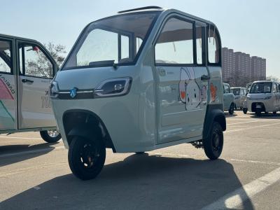 China Haimi 2 1000W Three-Door Two-Seat Electric Tricycle for sale