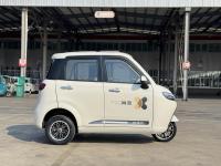 China LingYun 2000WD Five-door three-seater passenger electric tricycle for sale