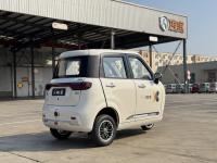 China LingYun 2000WD Five-door three-seater passenger electric tricycle for sale