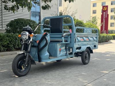 China Feng shen150-2 1000WD Cargo Tricycle Rated load 200kg for sale