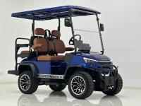 China F11 2+2	5000W 4-Seater Golf Cart for sale
