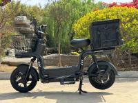 China JINNIU-2   650W New Two-Wheeled Electric Vehicle for sale