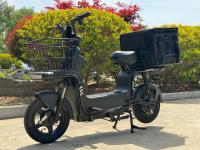 China JINNIU-2   650W New Two-Wheeled Electric Vehicle for sale