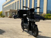 China JINNIU-2   650W New Two-Wheeled Electric Vehicle for sale