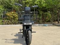 China JINNIU-2   650W New Two-Wheeled Electric Vehicle for sale