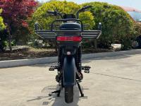 China JINNIU-2   650W New Two-Wheeled Electric Vehicle for sale