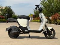 China L1-D  350W new two-wheeled electric vehicle for sale