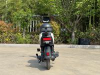 China L1-D  350W new two-wheeled electric vehicle for sale
