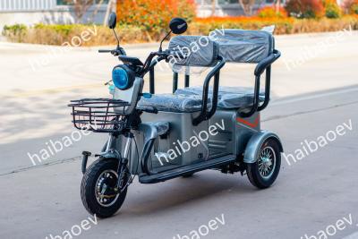 China D18 500W Recreational Passenger Electric Tricycle for sale