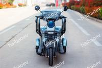 China D18 500W Recreational Passenger Electric Tricycle for sale