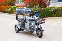 China D18 500W Recreational Passenger Electric Tricycle for sale