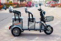 China D18 500W Recreational Passenger Electric Tricycle for sale