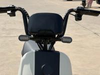 China L1-D 350W Electric Two-Wheeler for sale