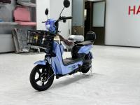 China L1-B	 350W Electric Two-Wheeler for sale