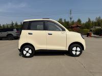 China Linglong 3000WD/5000WD New Five-Door Four-Seat Four-Wheeled Electric Vehicle for sale