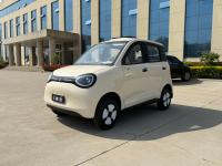China Linglong 3000WD/5000WD New Five-Door Four-Seat Four-Wheeled Electric Vehicle for sale
