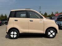 China Linglong 3000WD/5000WD New Five-Door Four-Seat Four-Wheeled Electric Vehicle for sale