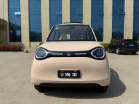 China Linglong 3000WD/5000WD New Five-Door Four-Seat Four-Wheeled Electric Vehicle for sale