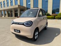 China Linglong 3000WD/5000WD New Five-Door Four-Seat Four-Wheeled Electric Vehicle for sale