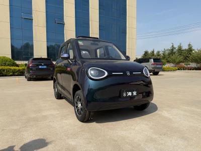 China Linglong 3000WD/5000WD New five-door four-seat four-wheeled electric vehicle for sale