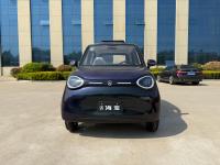 China Linglong 3000WD/5000WD New five-door four-seat four-wheeled electric vehicle for sale