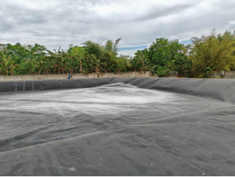 How to manage the manure waste for broiler farm?