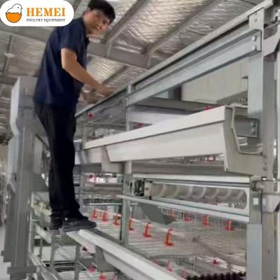 China Feed Trough for  Poultry Cages for sale