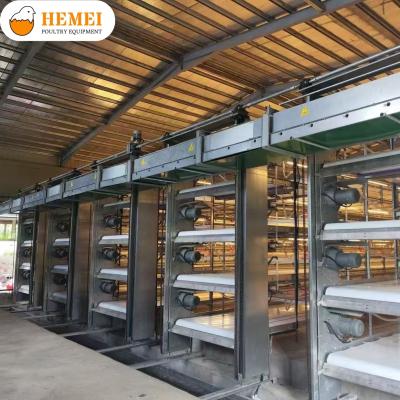China Manure Removal Equipment with Anti-Rust Material for sale