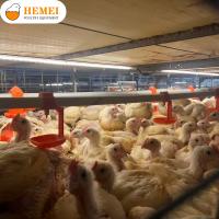 China Floor-To-Cage Conversion Broiler Chicken Cage for sale