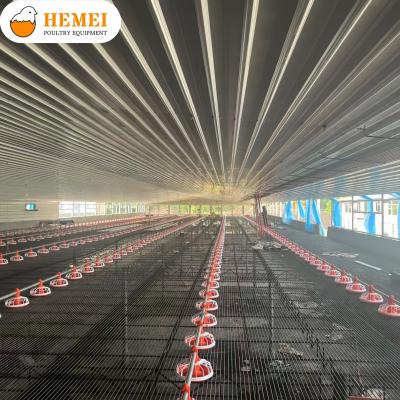 China CCS4 Floor Type Broiler Equipment for sale