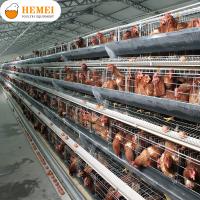 China “A” Type Layer Cage Equipment for sale