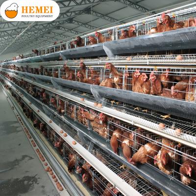 China “A” Type Layer Cage Equipment for sale