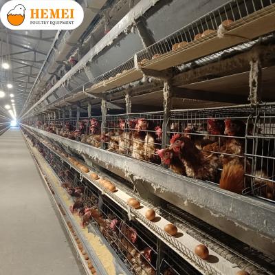 China “H” Type Layer Cage Equipment for sale