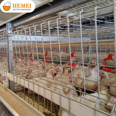 China H Type Multi Tiers Manual Harvesting Broiler Cage Equipment for sale