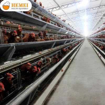 China “A” Type Layer Cage for sale