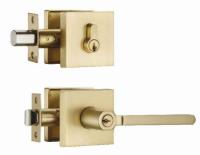 China 25 X 57mm Mechanical Combination Deadbolt Full Lip D Shape  Combination Gate Locks for sale