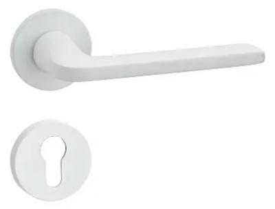 China Single Type Security Modern Style Fingerprint Door Lock Handle For Maximum Protection And Efficiency for sale